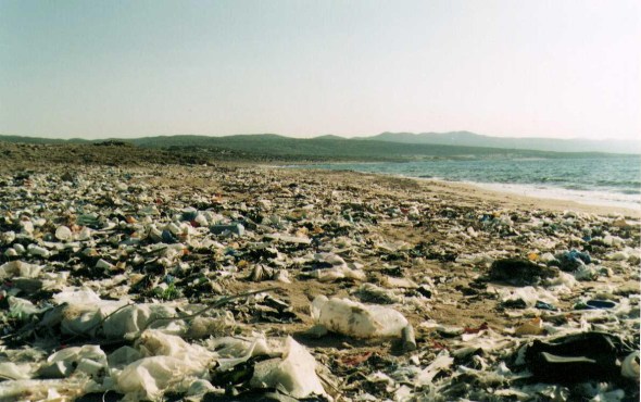 Un adolescente descubre una bacteria que se come el plastico - ¡No ...