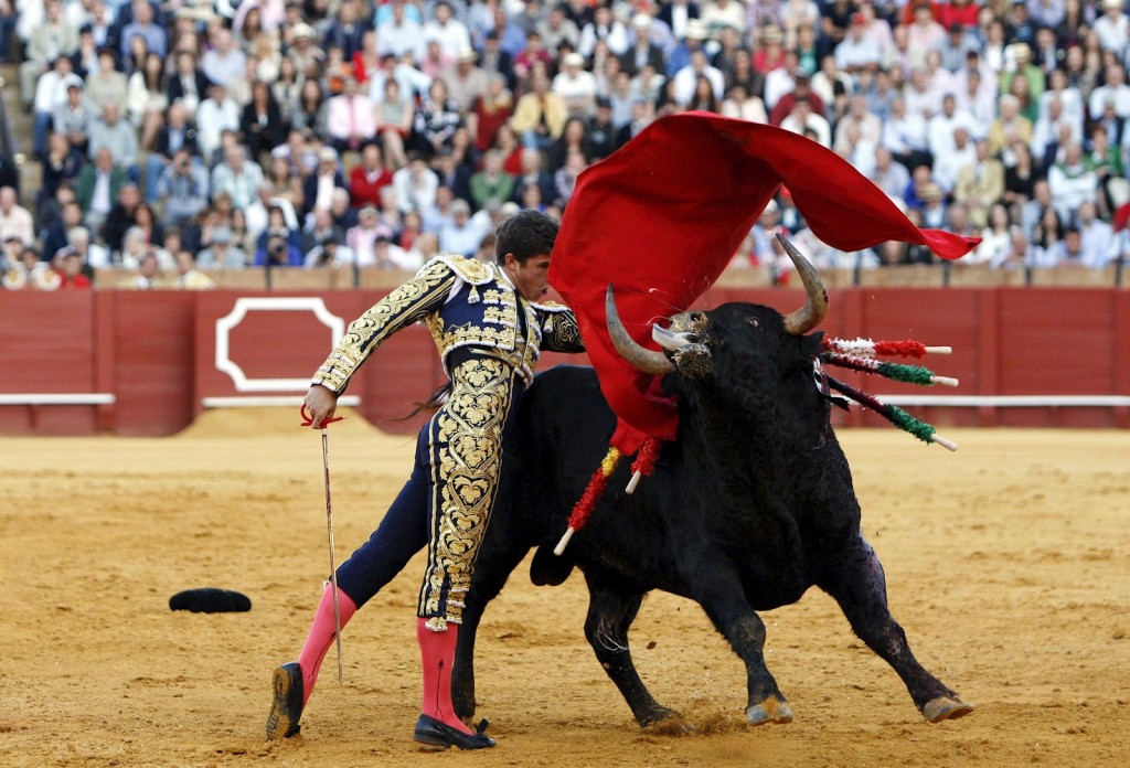 ¿El color rojo enfurece a los toros? - ¡No sabes nada!