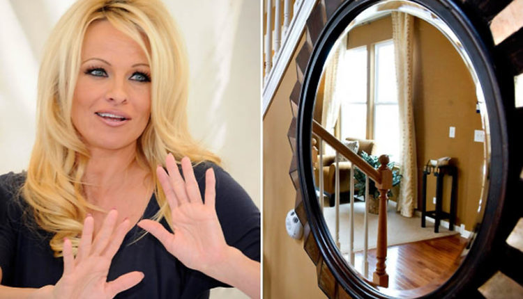 Datos y curiosidades sobre Pamela Anderson - ¡No sabes nada!