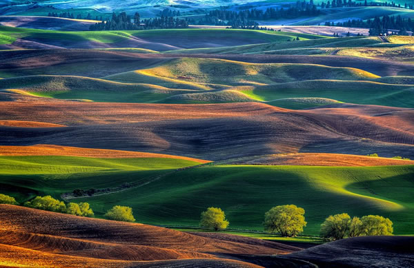 Los maravillosos paisajes del Valle de Palouse, en Washington - ¡No ...