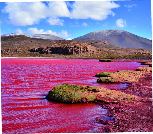 La extraña y maravillosa Laguna Roja Chilena - ¡No sabes nada!