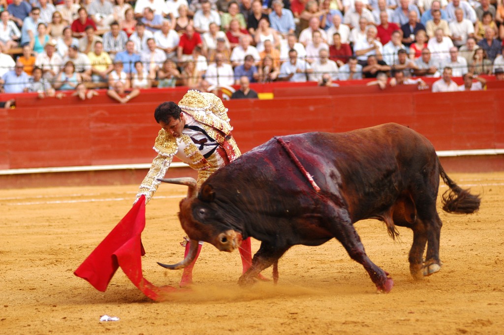 El toro y el rojo