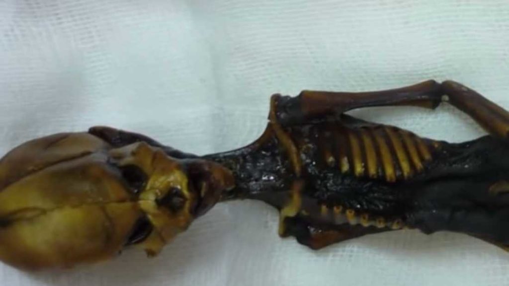 ¿Qué es realmente este 'alien' aparecido en Atacama? - ¡No sabes nada!