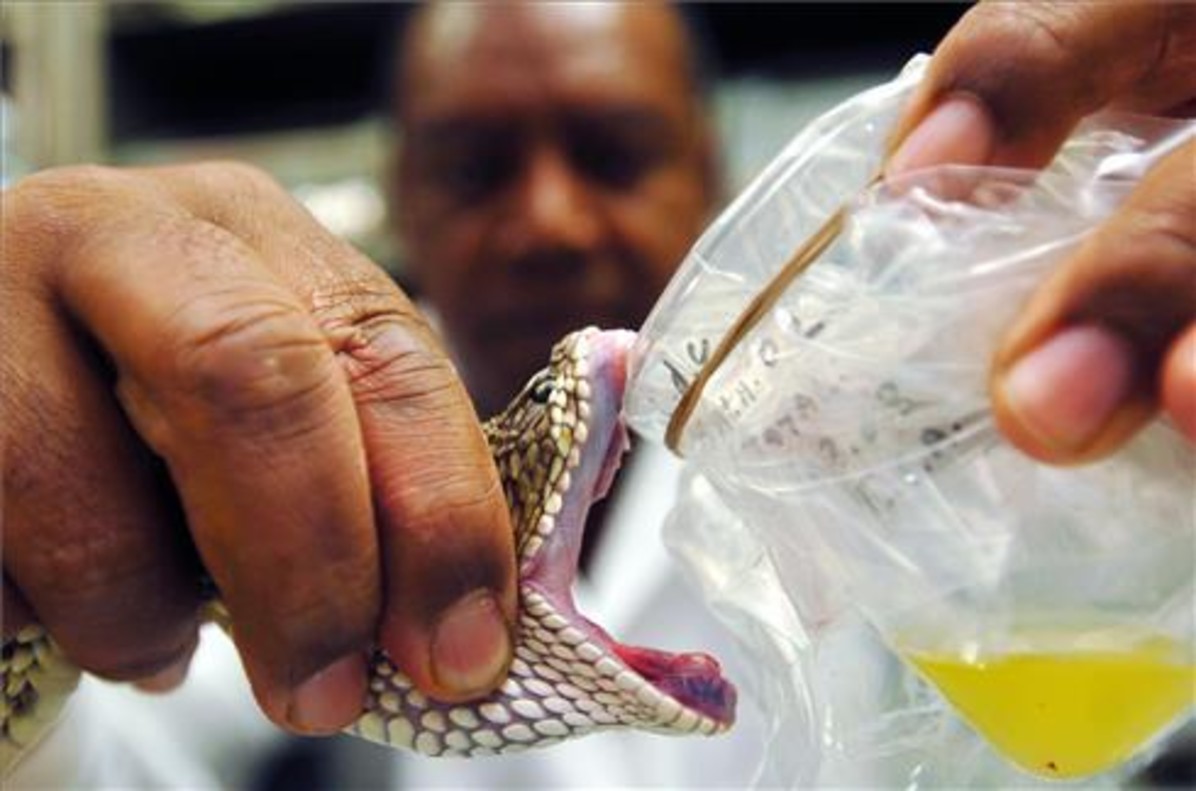 Órganos de serpientes replicados en laboratorio - ¡No sabes nada!