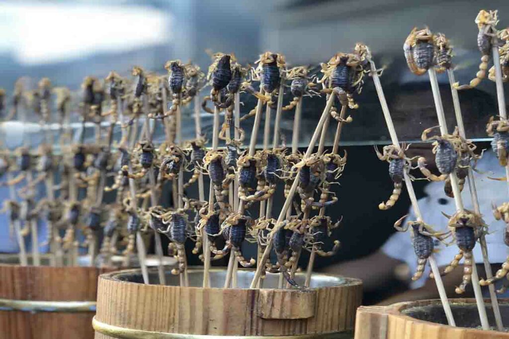 Comer insectos puede solucionar la alimentación de la población mundial