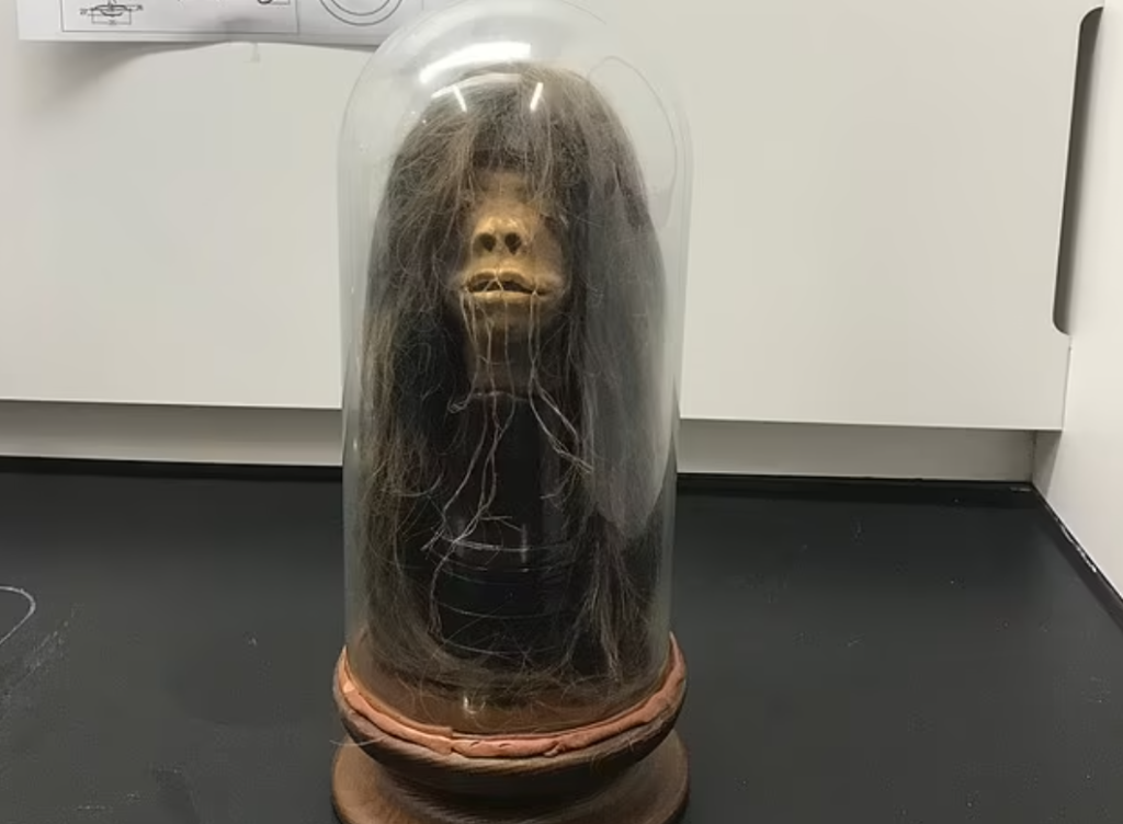 El regreso de la “cabeza reducida” a Ecuador - ¡No sabes nada!