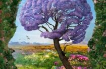 La timidez botánica o los árboles que evitan tocarse entre sí - ¡No ...