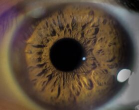 La importancia del ARN y su relación con la ciencia